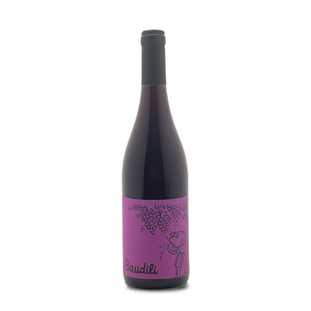 Mas Candi Baudili Tinto 2021 - Libation Wine | Libation